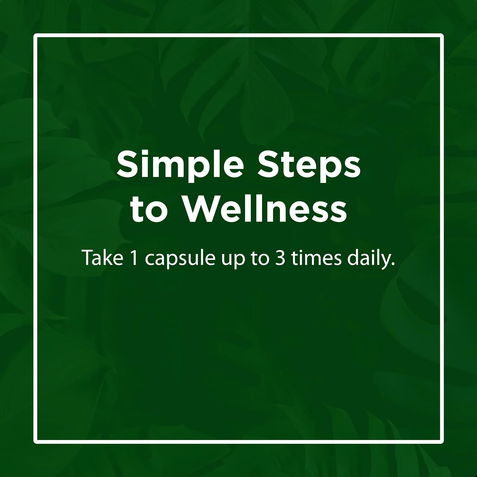 digestive enzymes for enhanced nutrient absorption