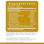 digestive enzymes for everyday wellness