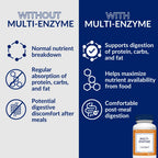 digestive enzymes for everyday wellness