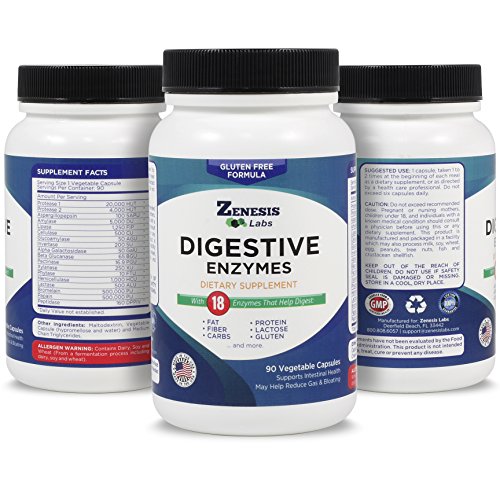 digestive enzymes for food breakdown
