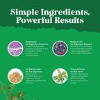 digestive enzymes for gut health