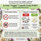 Digestive enzymes for nutrient absorption