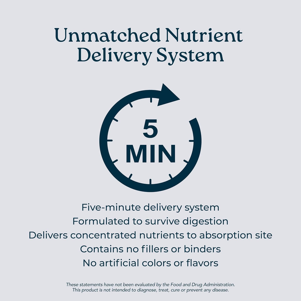 digestive enzymes for nutrient absorption