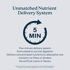 digestive enzymes for nutrient absorption
