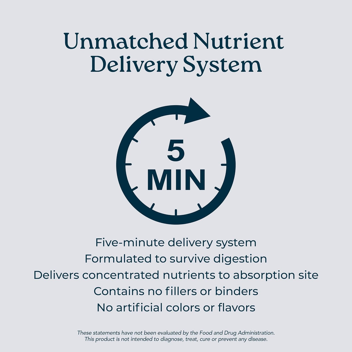 digestive enzymes for nutrient absorption