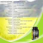 Digestive enzymes support nutrient absorption