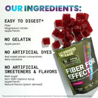 digestive enzymes support with fiber