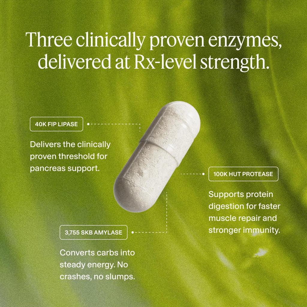 digestive enzymes to enhance nutrient absorption