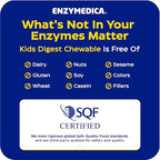 digestive enzymes to enhance nutrient absorption