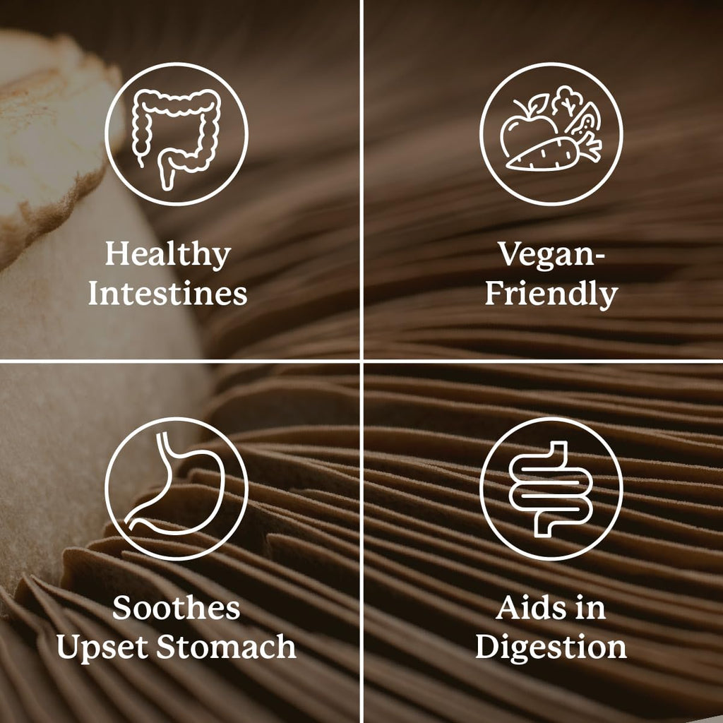 Digestive enzymes to relieve bloating and discomfort