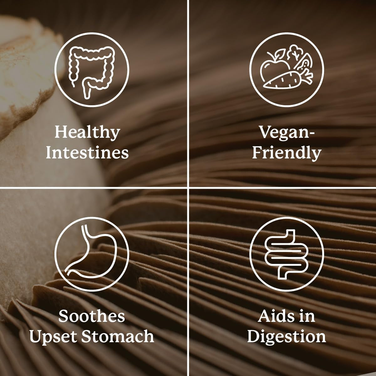 Digestive enzymes to relieve bloating and discomfort