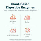 digestive enzymes to support healthy digestion
