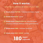 Digestive enzymes to support nutrient absorption