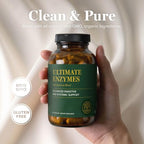Digestive enzymes to support nutrient absorption