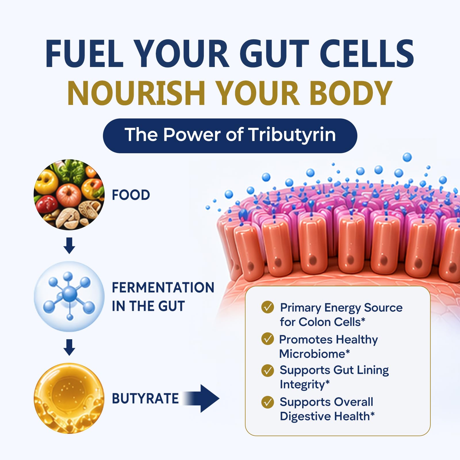 Digestive enzymes with butyrate benefits