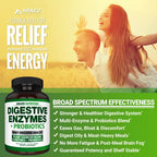 digestive enzymes with probiotics for daily wellness