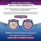 digestive health and mood balance capsules