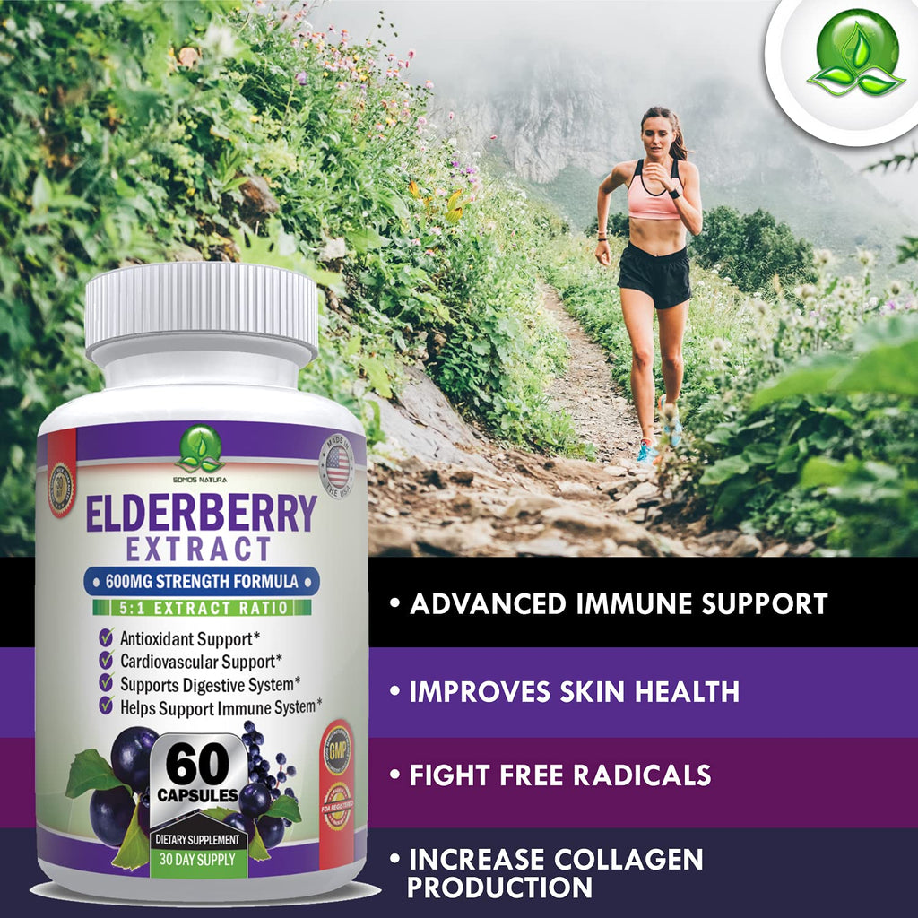 digestive health benefits of elderberry