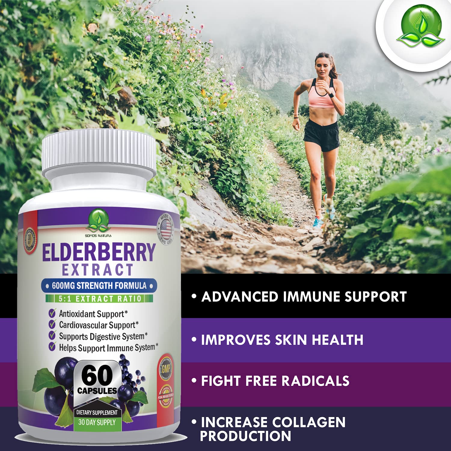 digestive health benefits of elderberry