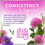Digestive health during menopause
