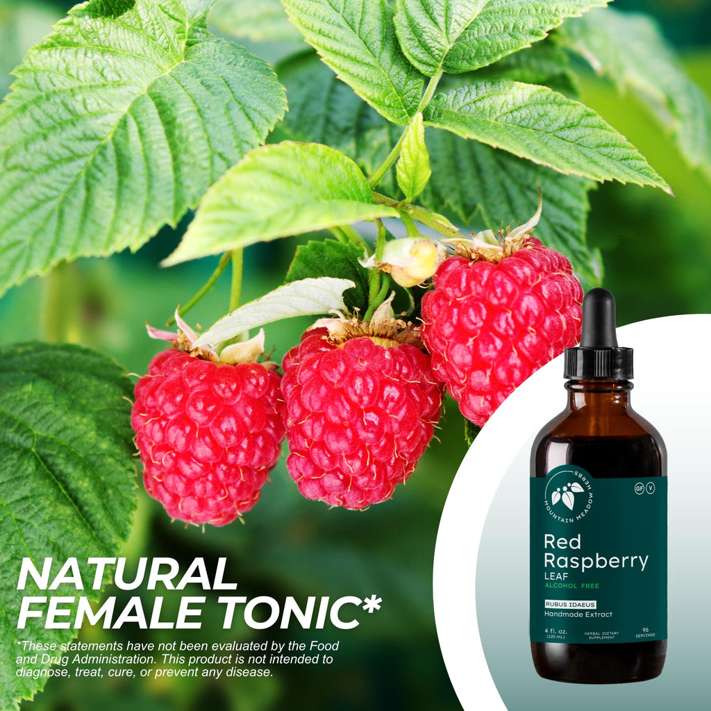 Digestive health herbal extract