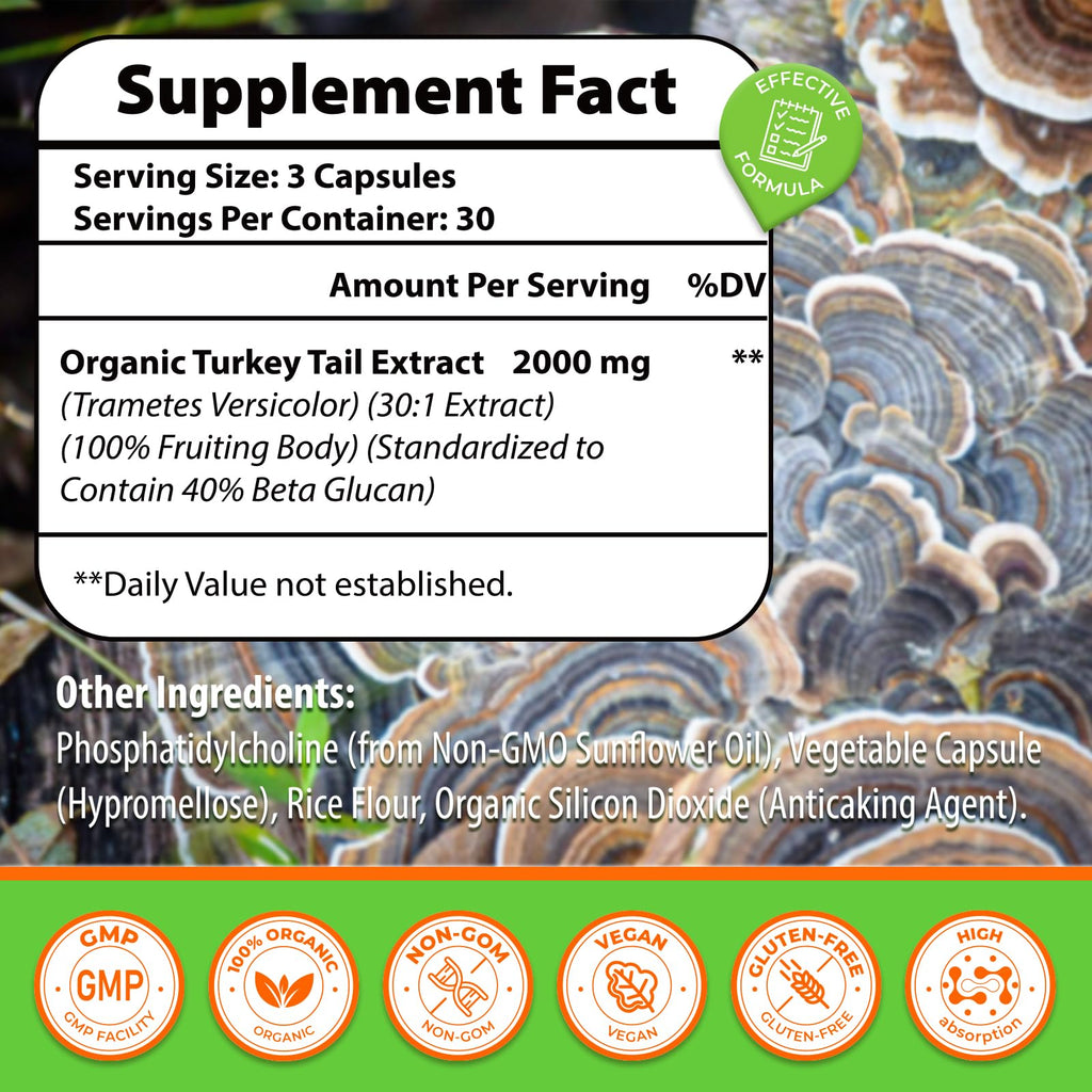 Digestive health mushroom supplement
