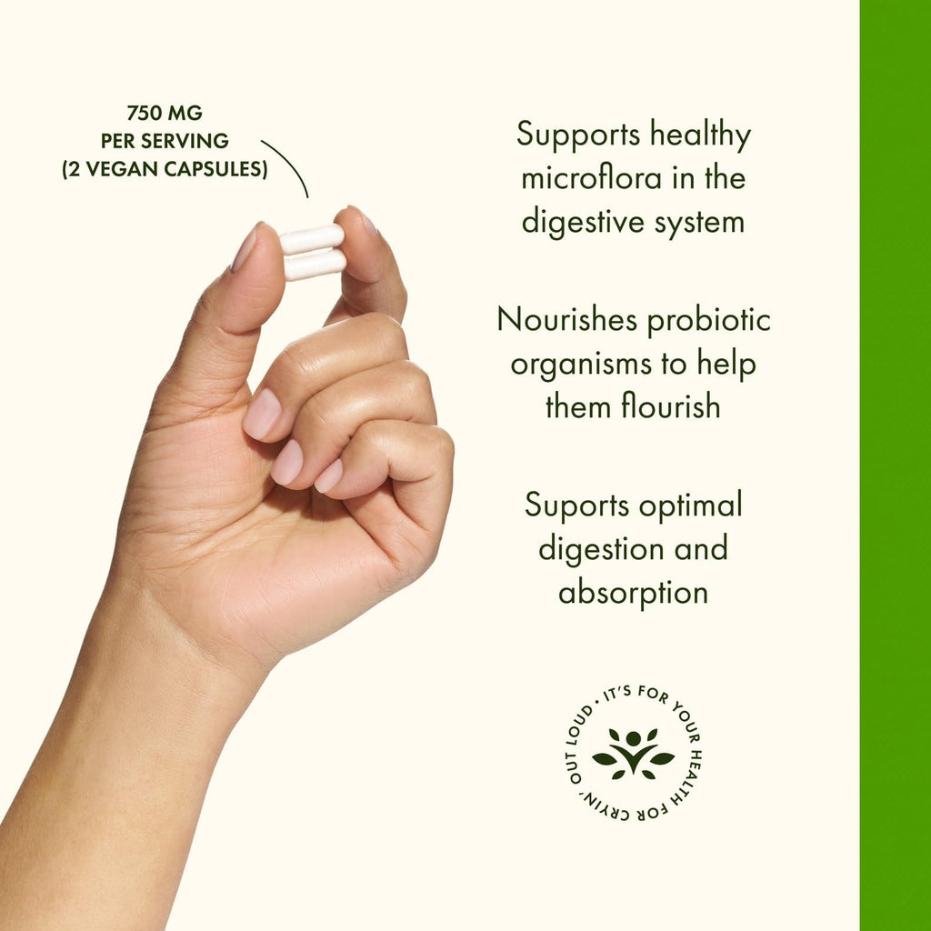 digestive health prebiotics