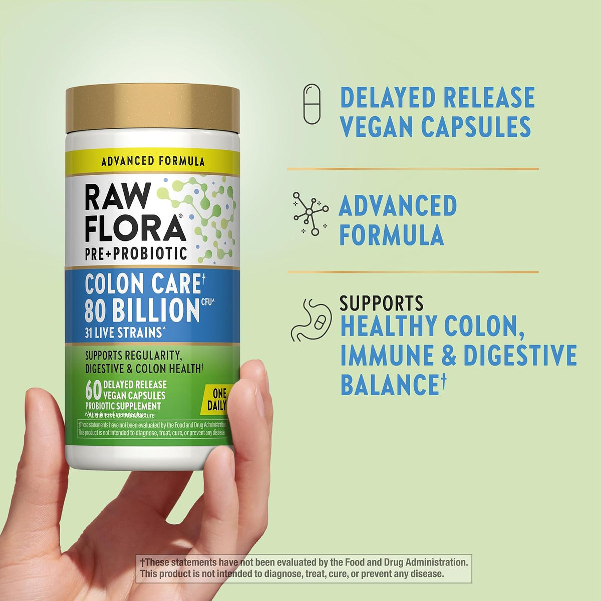 Digestive health probiotics for adults