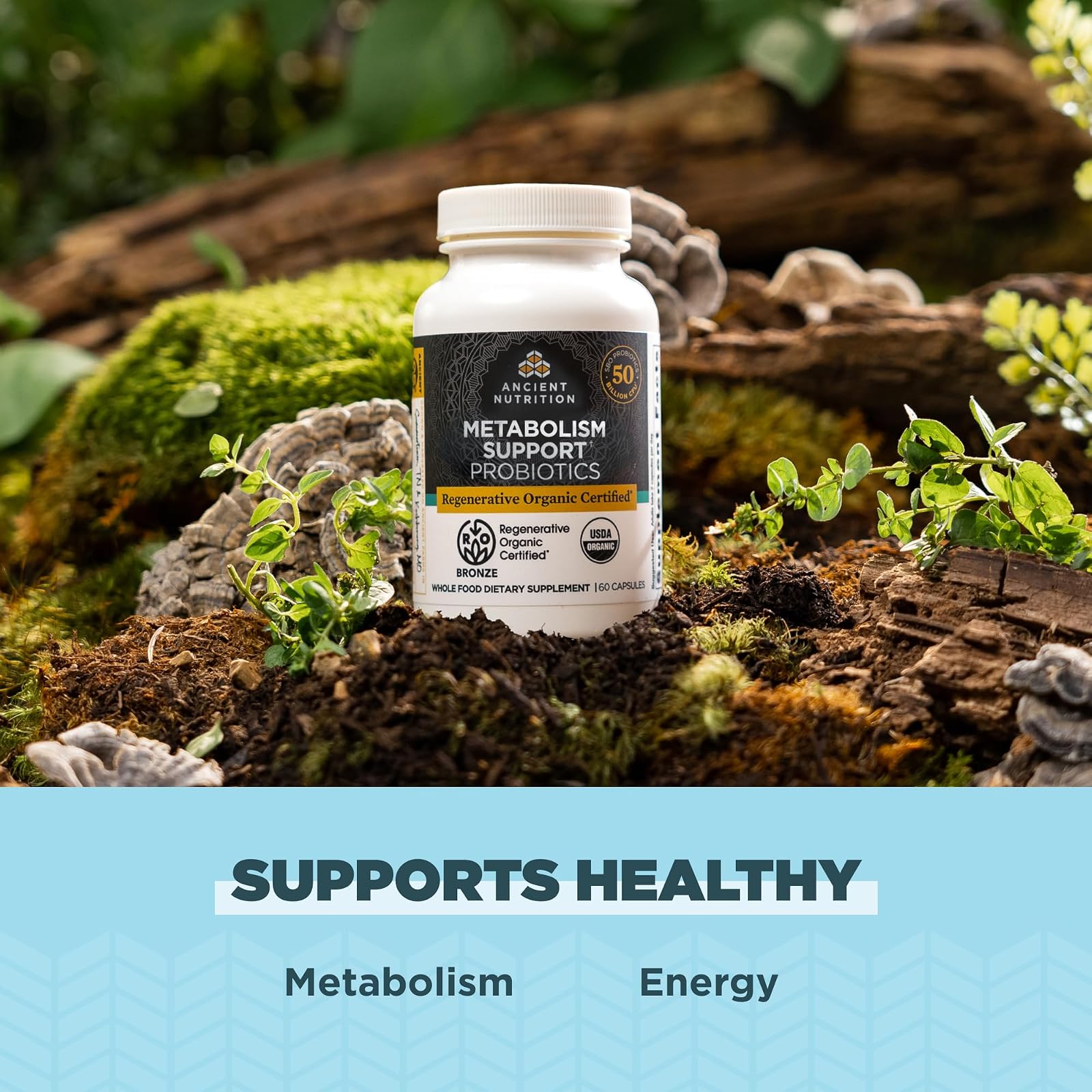 digestive health probiotics for men