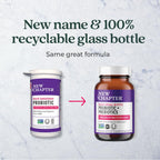 digestive health probiotics for men