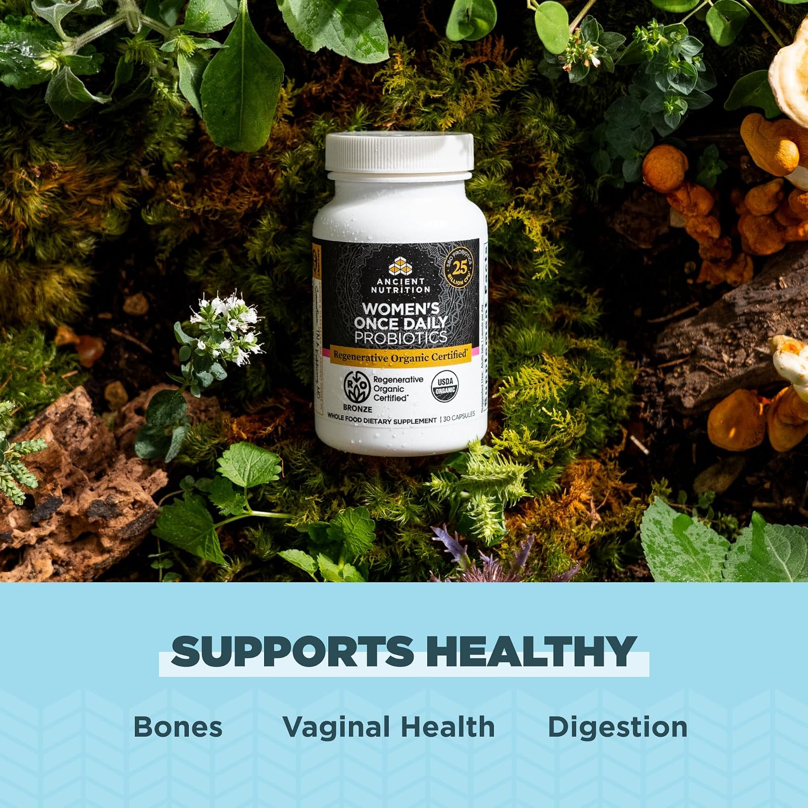 digestive health probiotics for women