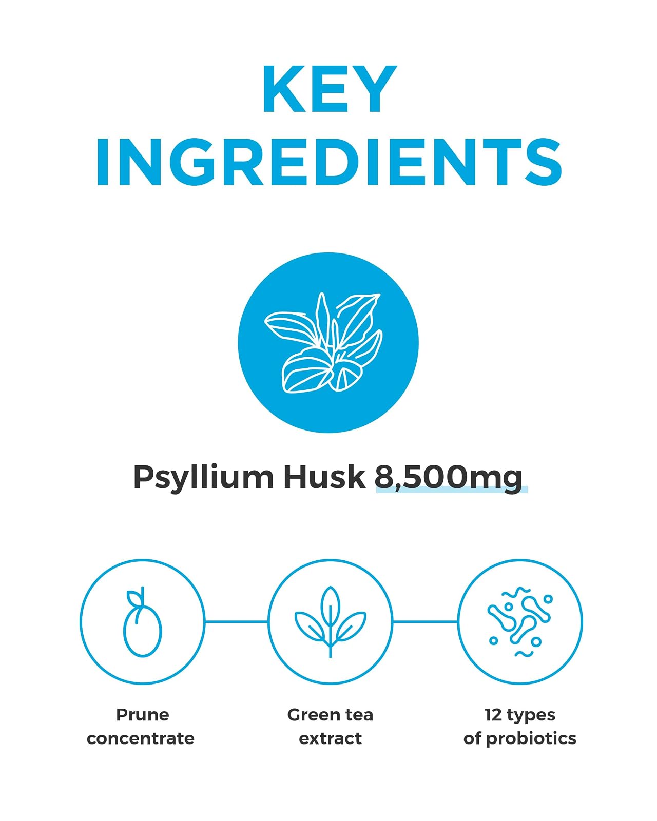digestive health psyllium husk