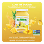Digestive health sea moss gel
