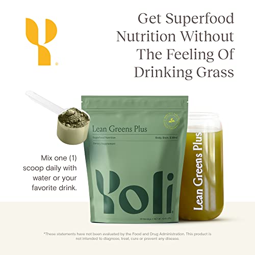 digestive health superfood powder