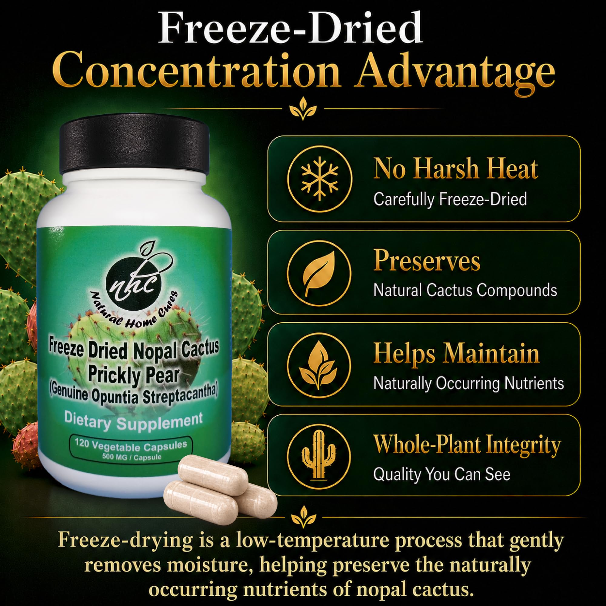 digestive health support capsules