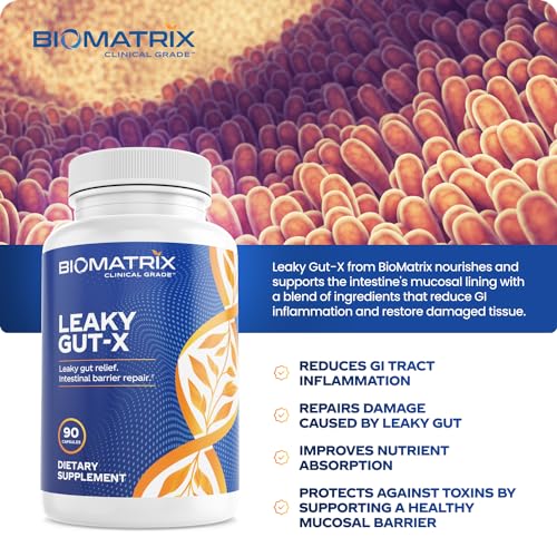 digestive health support for everyday use