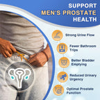 digestive health support for men
