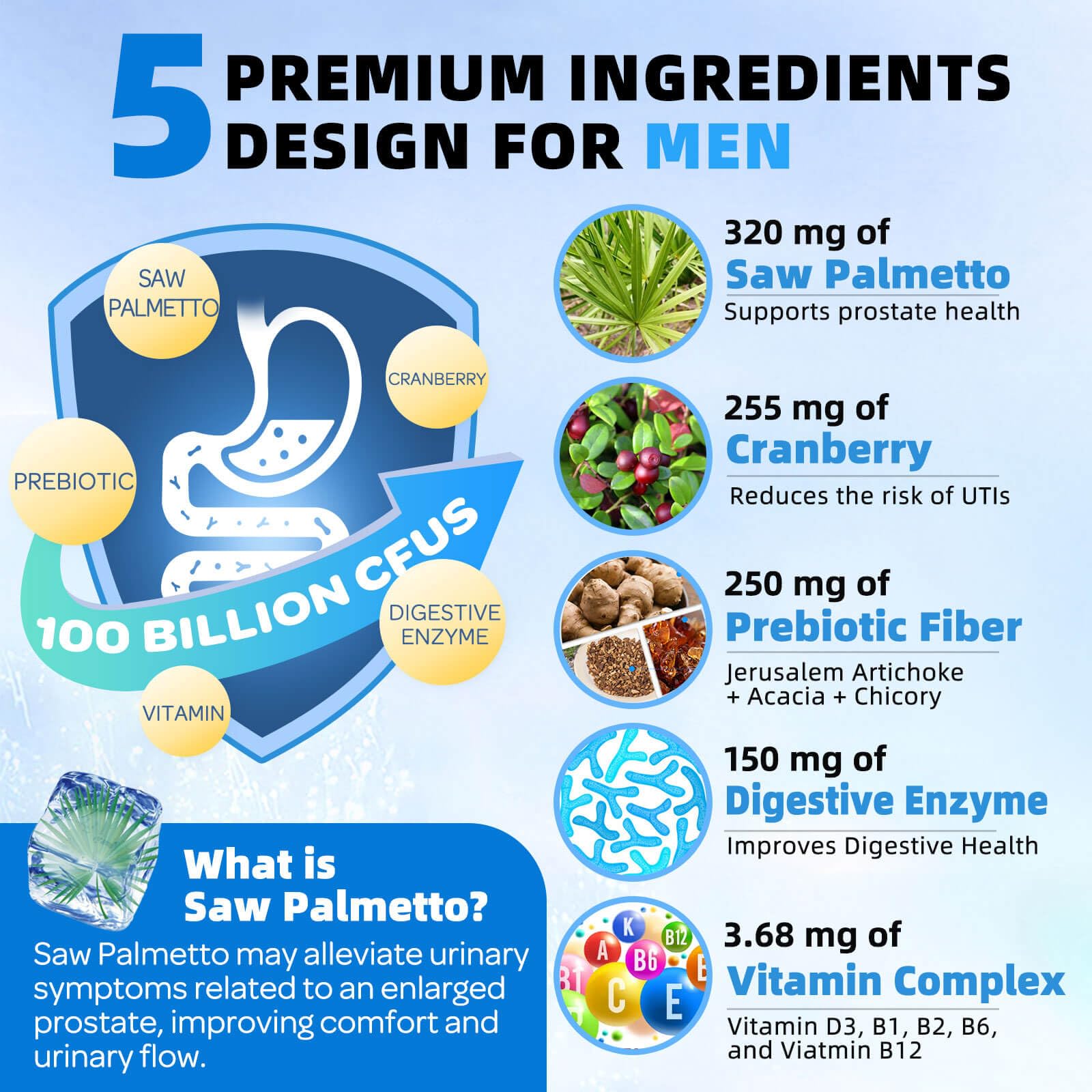 digestive health support for men
