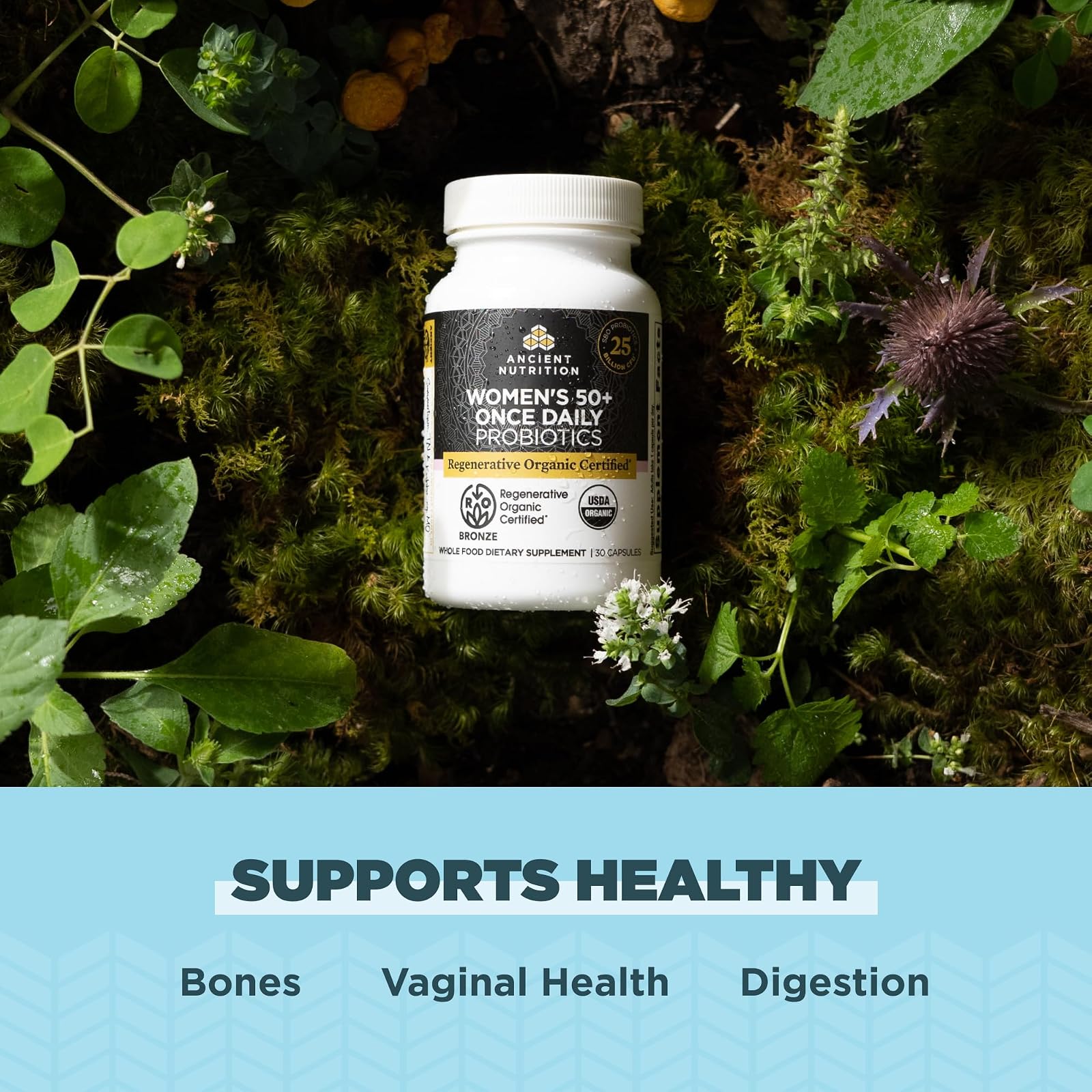 digestive health support for women