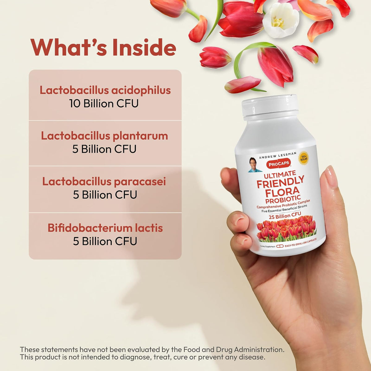 digestive health support probiotics