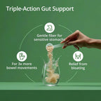 Digestive health support supplement