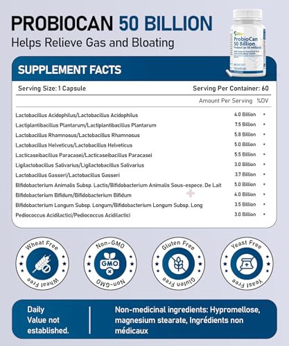 Digestive health support with prebiotics