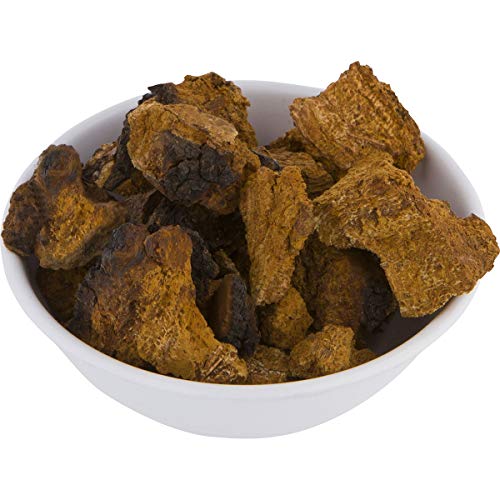 digestive health with Chaga mushroom chunks