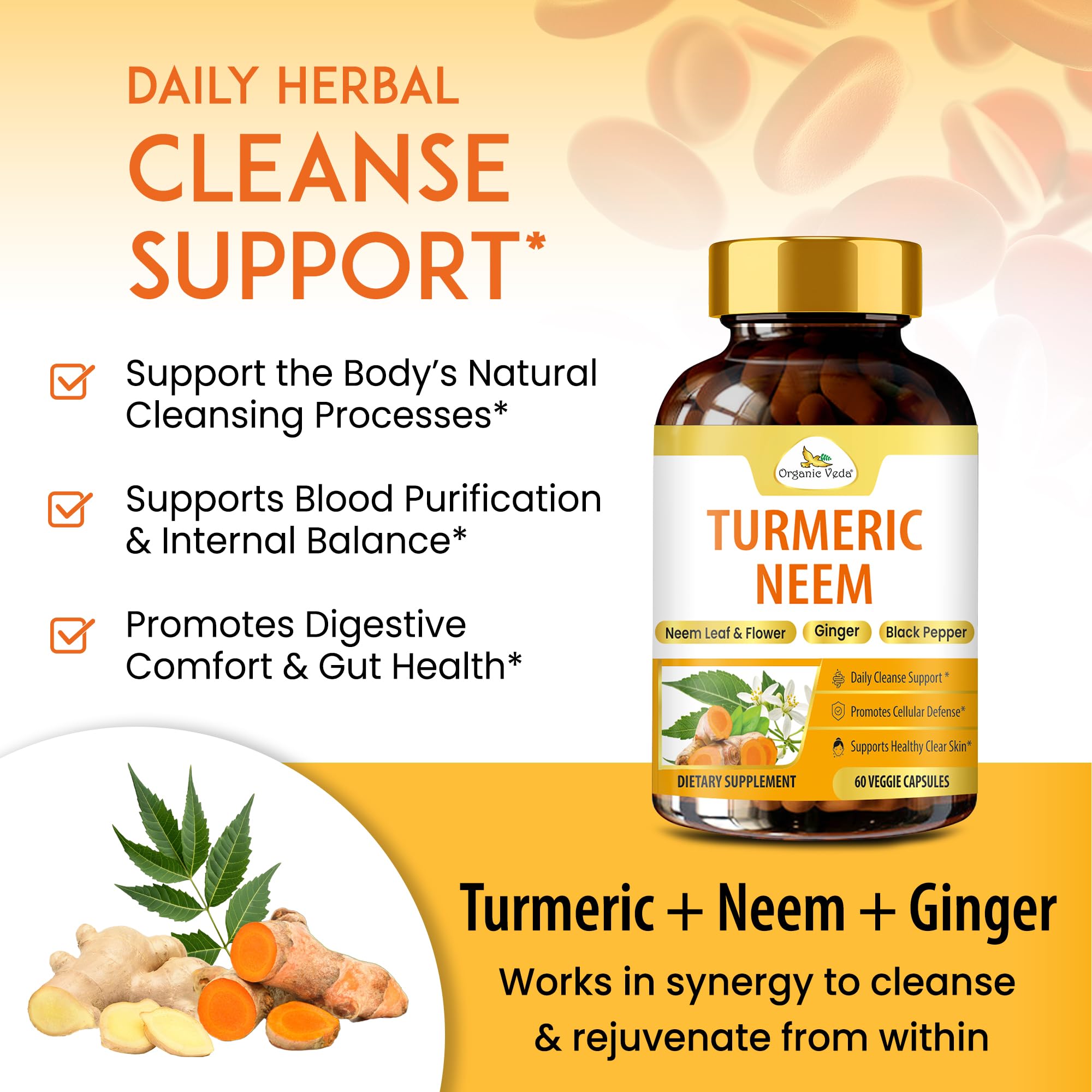 Digestive health with ginger extract