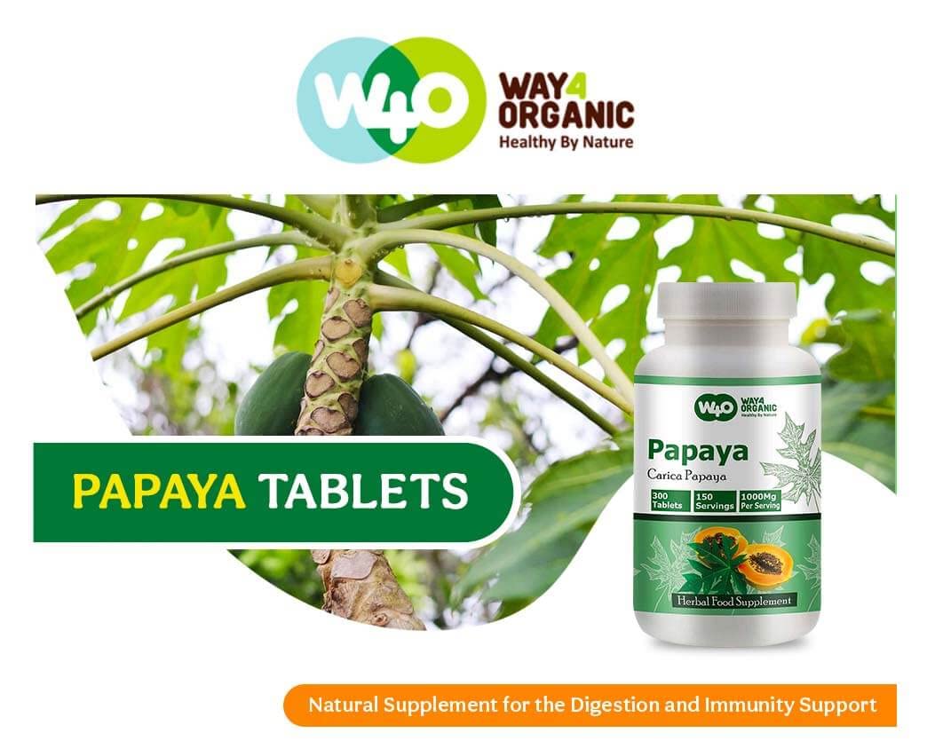Digestive health with papaya extract