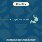 digestive health with psyllium husk