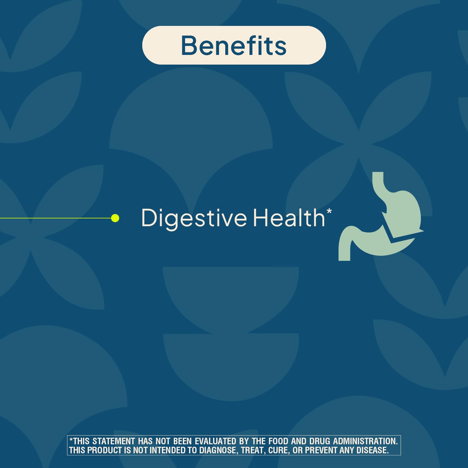 digestive health with psyllium husk