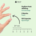 digestive health with psyllium husk
