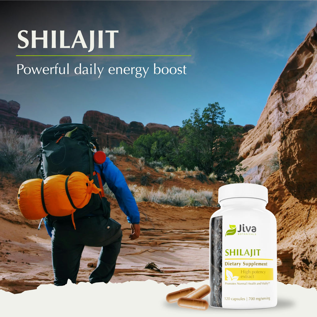 digestive health with shilajit capsules