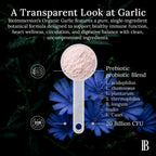 Digestive health with synbiotic probiotics